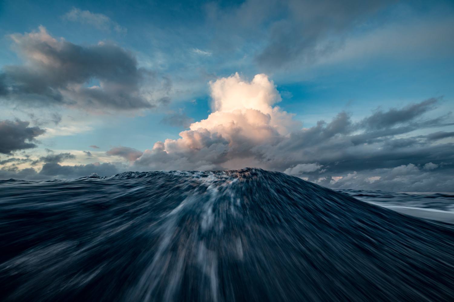 We're Leaving 2020 at the Dock | North Sails