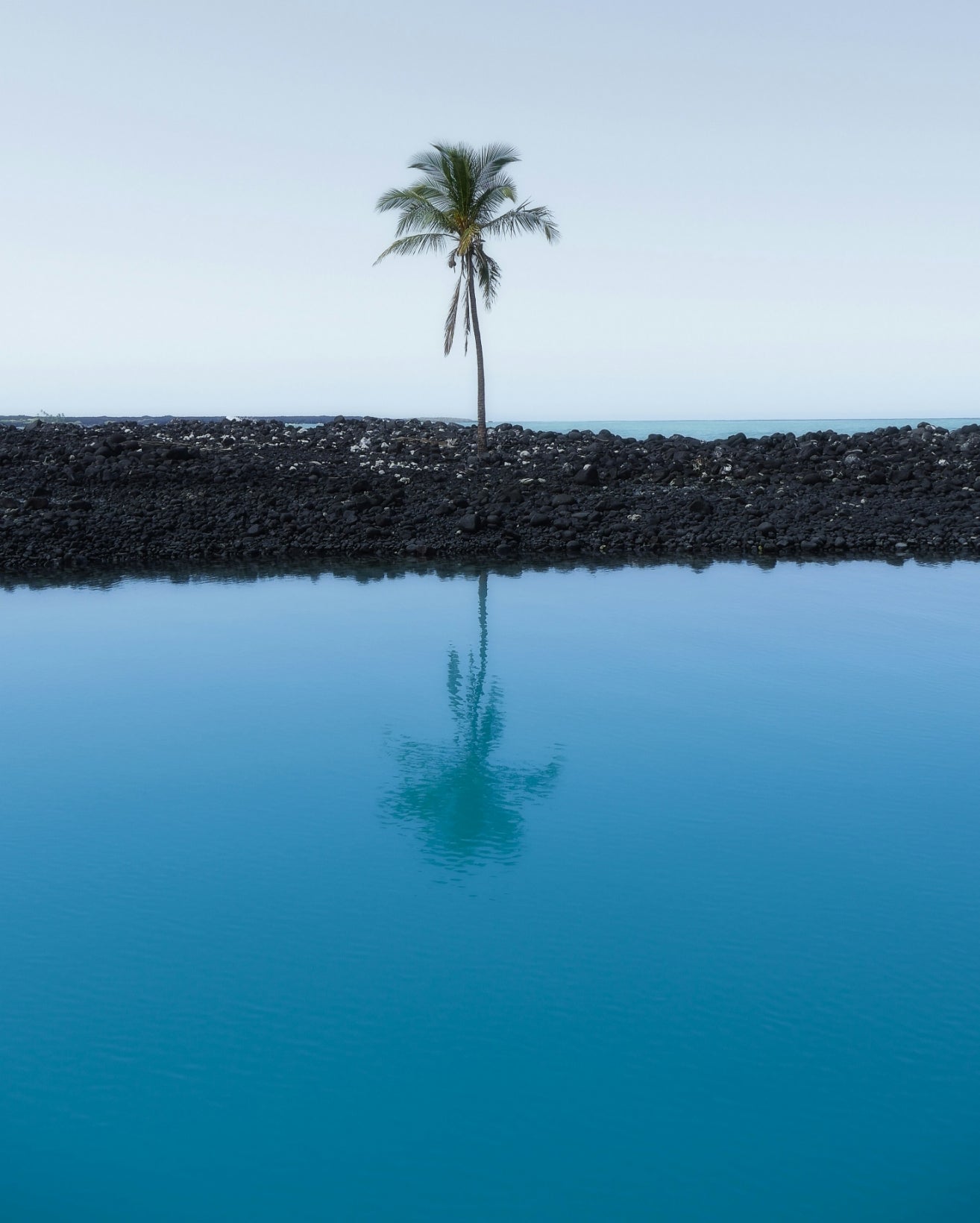 North Sails Apparel | North Sails